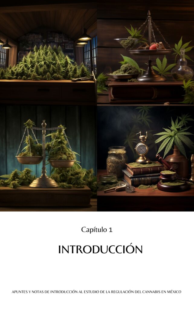 Regulación Del Cannabis En México E Learning Center