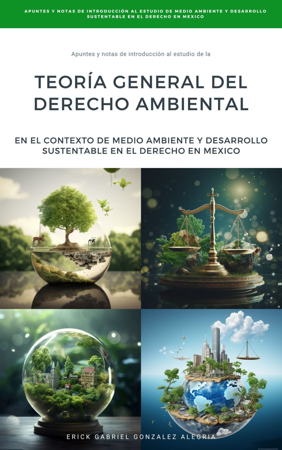 Teoría General del Derecho Ambiental en el Contexto del Medio Ambiente ...