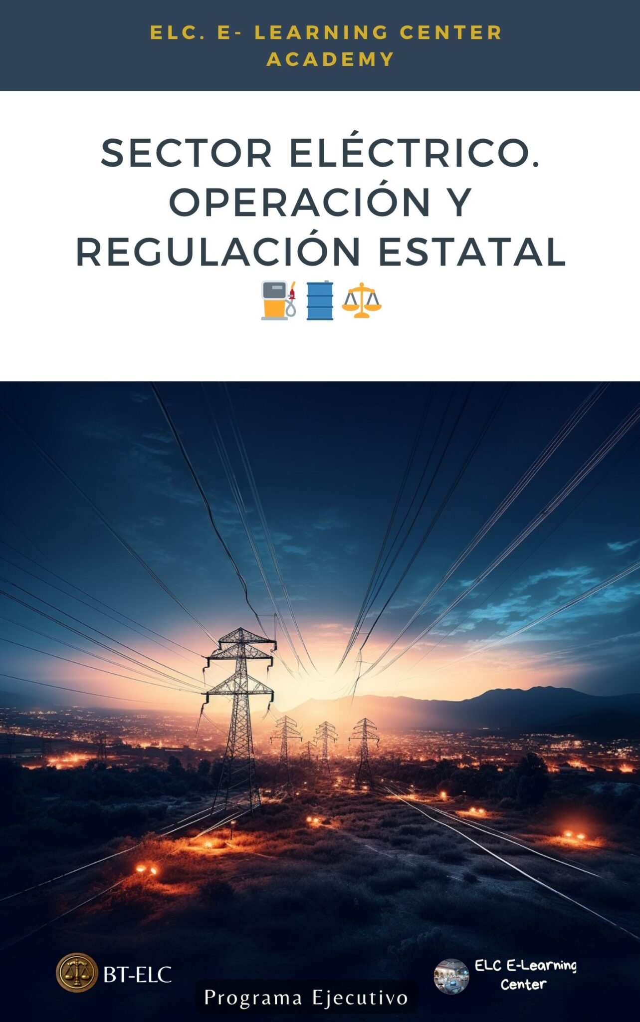 Sector Electrico - E Learning Center